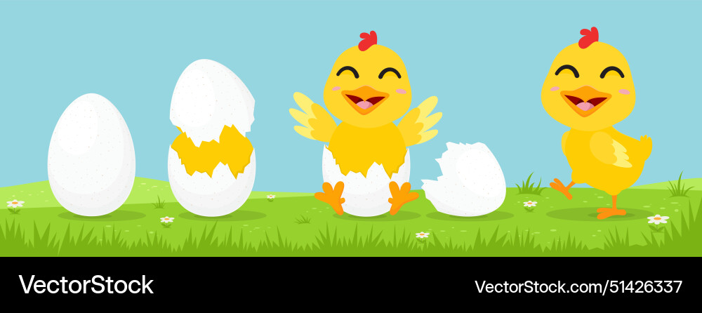 Cartoon process baby chicken hatching from the egg