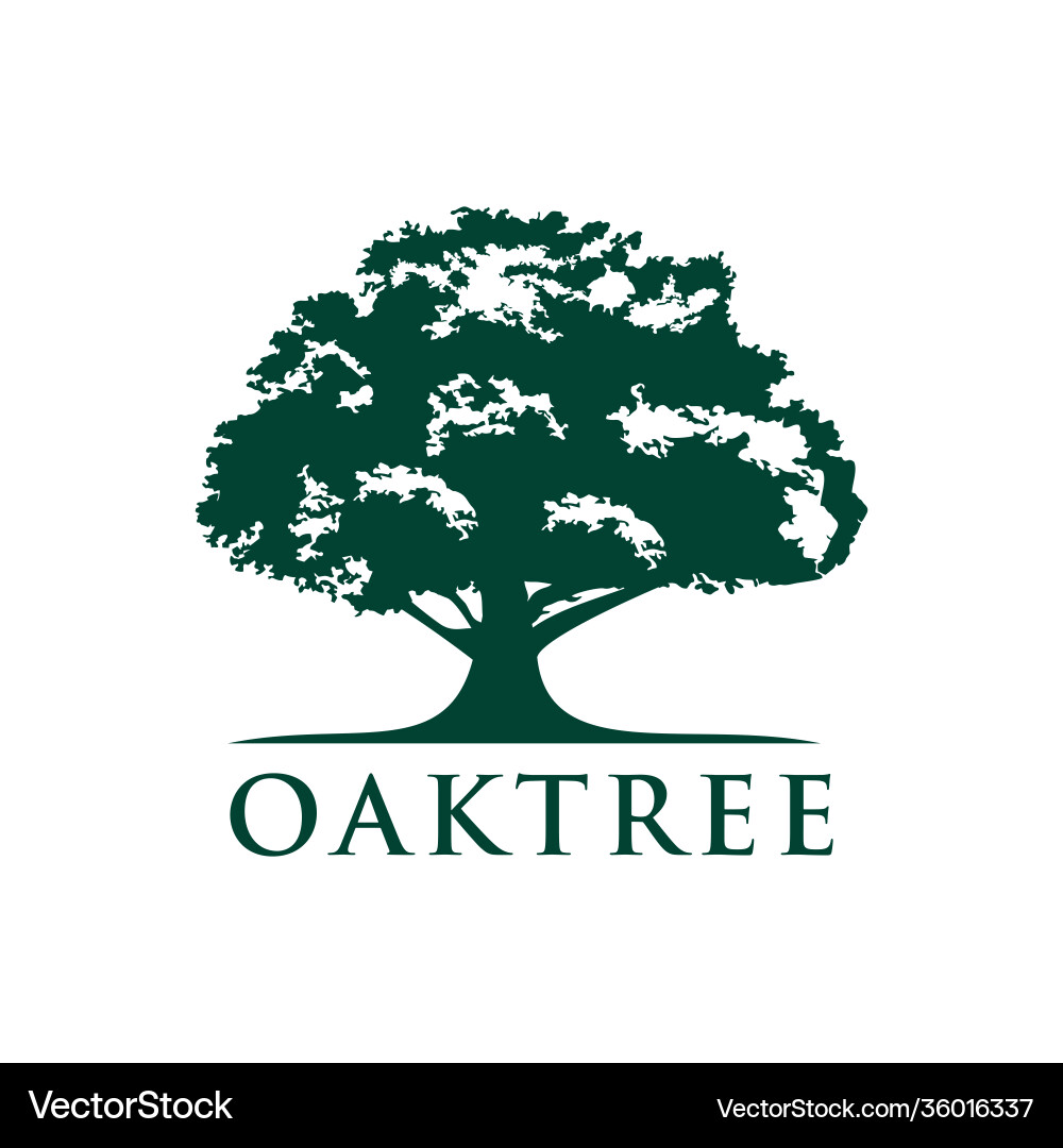 Oak tree Royalty Free Vector Image - VectorStock