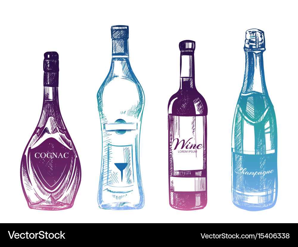 Colorful hand drawn alcohol drinks isolated Vector Image