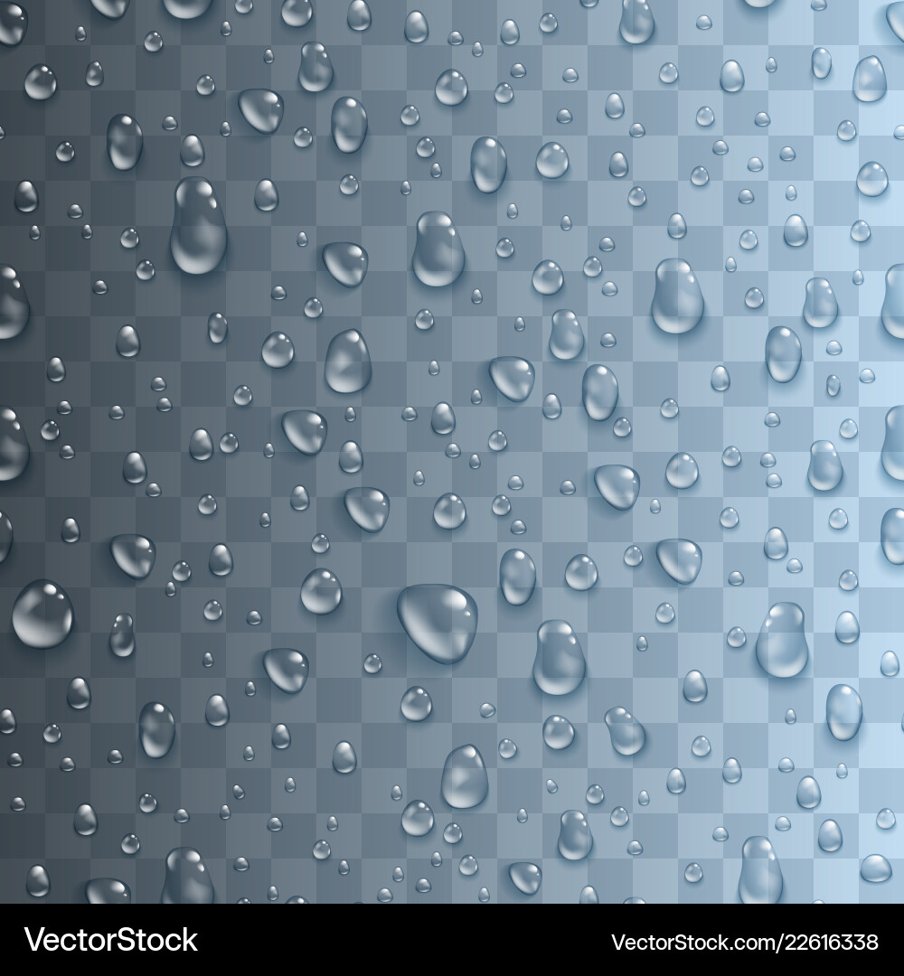 Realistic Water Drop Pattern Royalty Free Vector Image