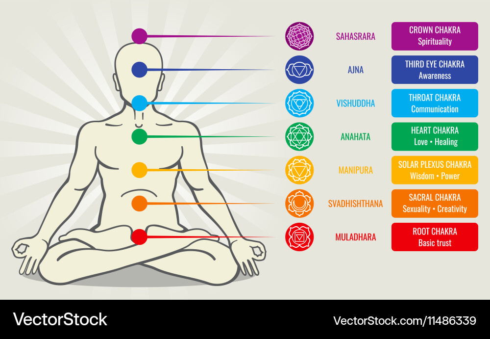 Human energy chakra system ayurveda love asana Vector Image