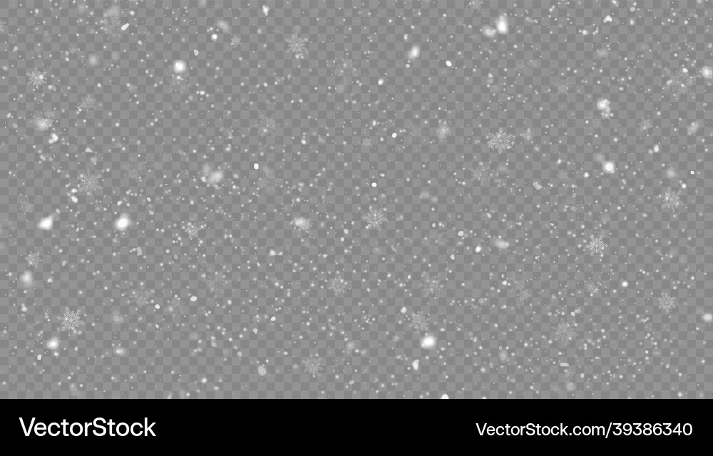 Snow isolated snowfall Royalty Free Vector Image