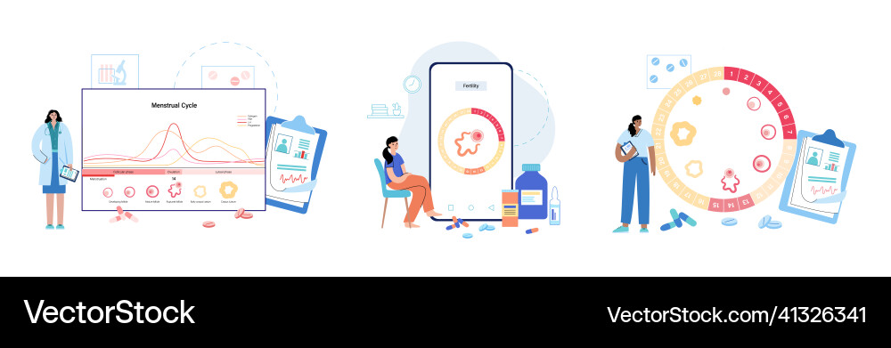 Menstrual cycle diagram Royalty Free Vector Image