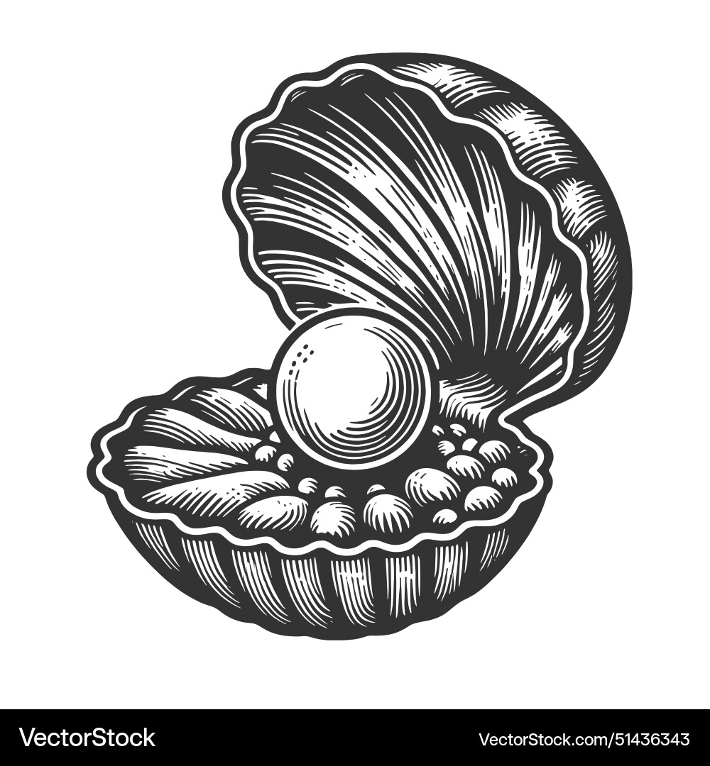 Oyster Pearl Vector Images (over 4,100)