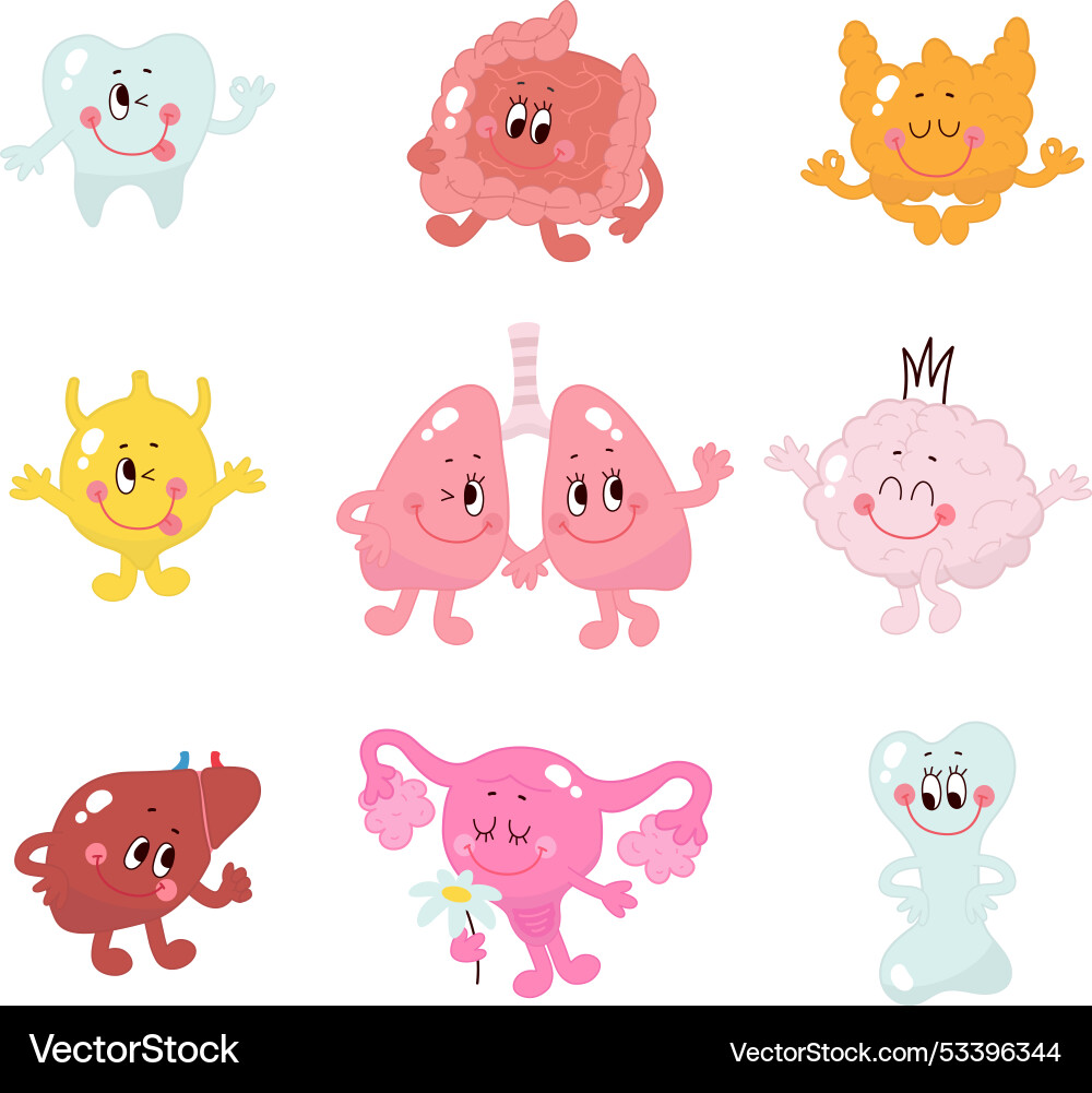 Cartoon internal organs funny stomach lungs brain Vector Image