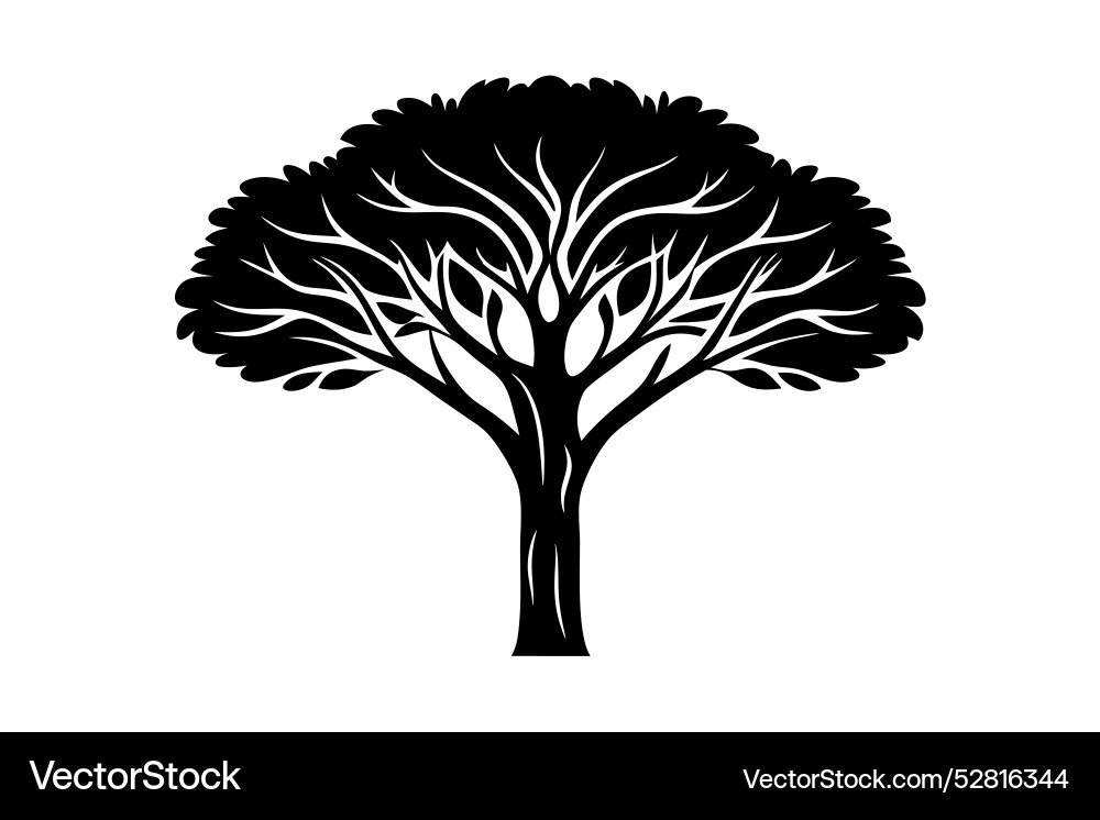 Modern safari tree - elegant and minimalist Vector Image
