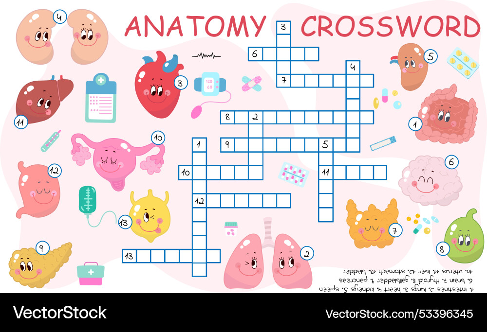 Medical anatomy crossword education puzzle game Vector Image