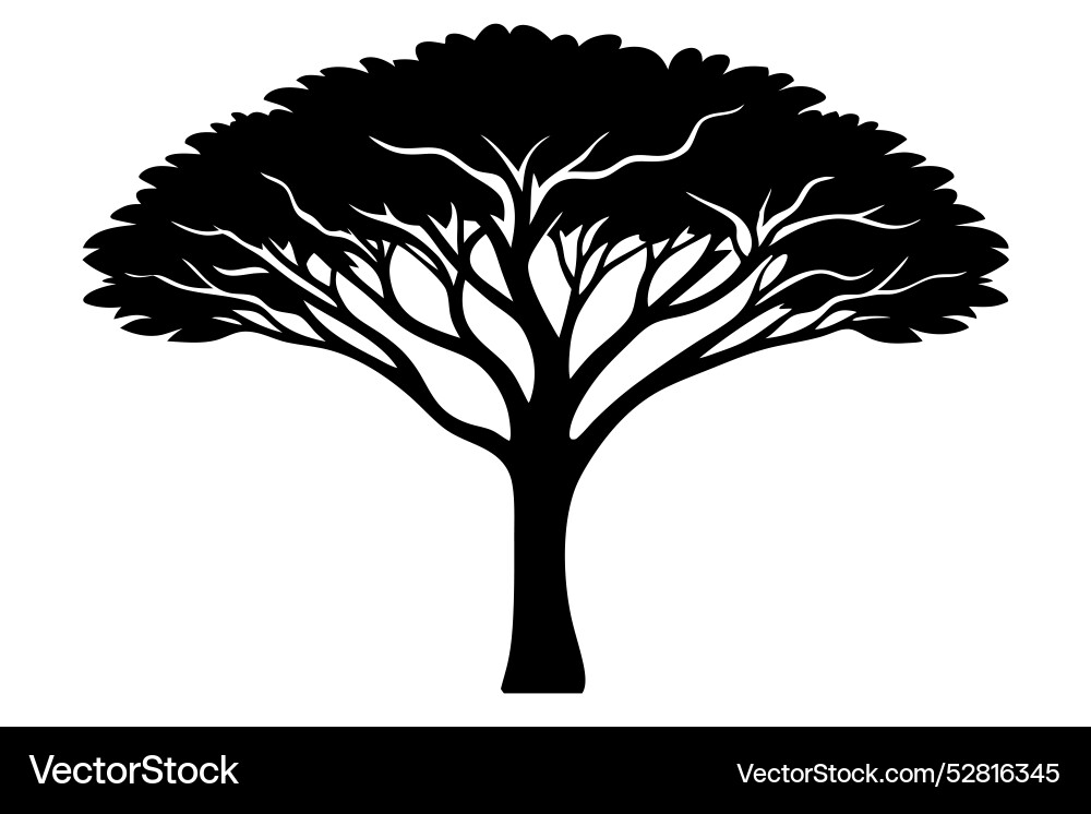 Modern safari tree - elegant and minimalist Vector Image