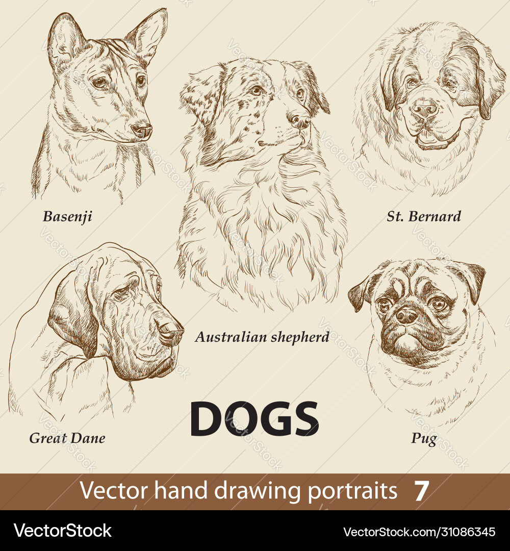 Set hand drawing dogs 7 Royalty Free Vector Image