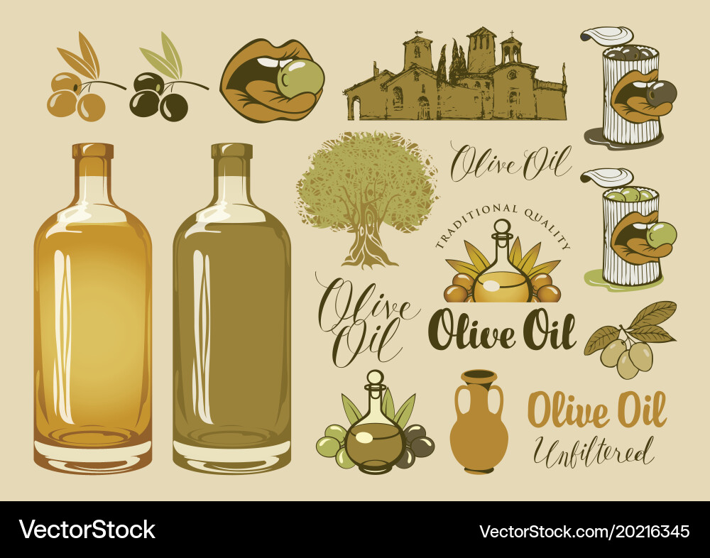 Set of design elements on the theme olive oil Vector Image