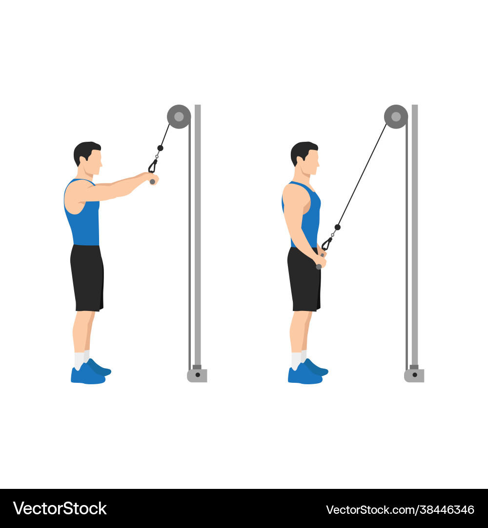 Man doing straight arm pulldown pullovers Vector Image