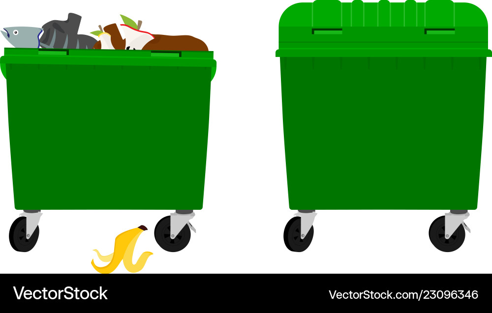 Overflowing and empty garbage bin container Vector Image