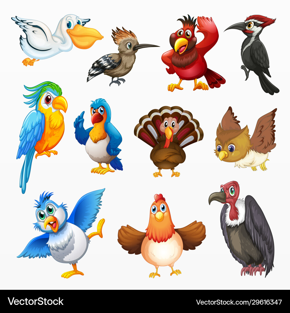 Cartoon Birds Set - Diverse Avian Characters Vector Image