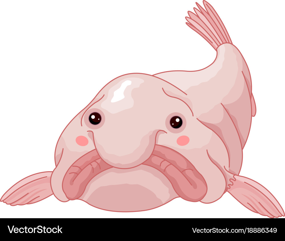 Blob fish Royalty Free Vector Image - VectorStock