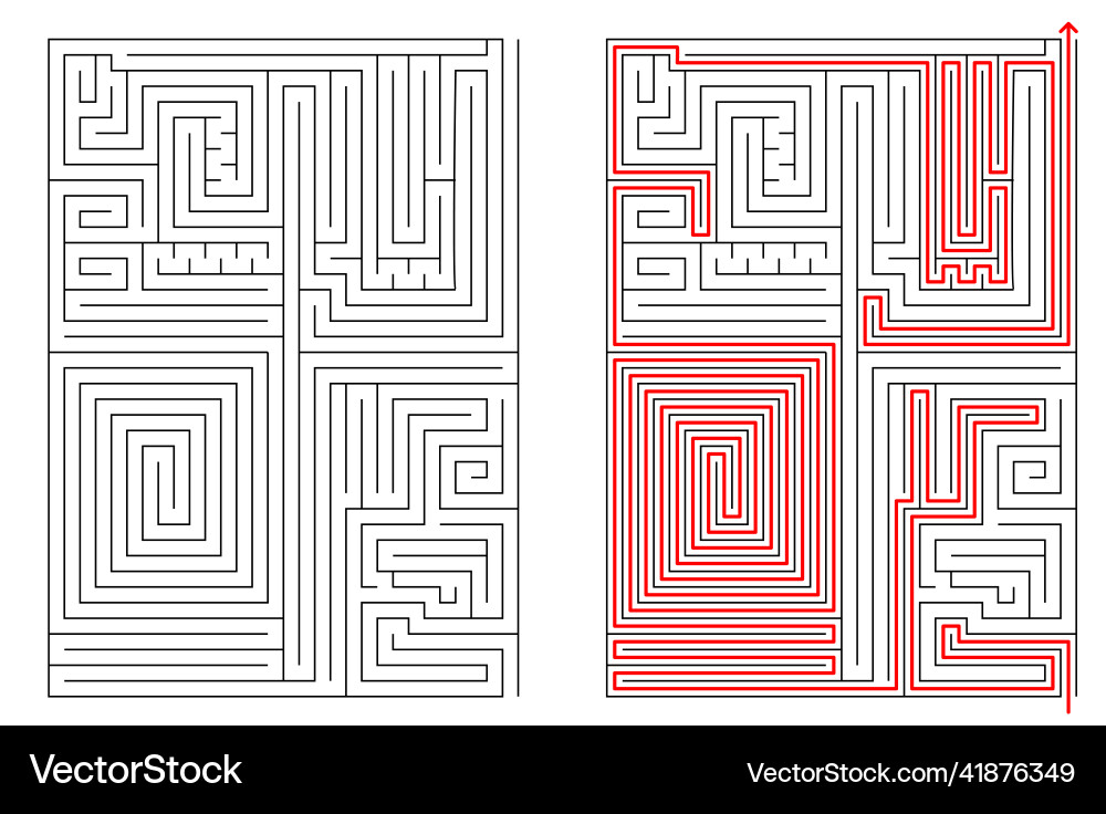 Rectangular labyrinth with entry and exit Vector Image