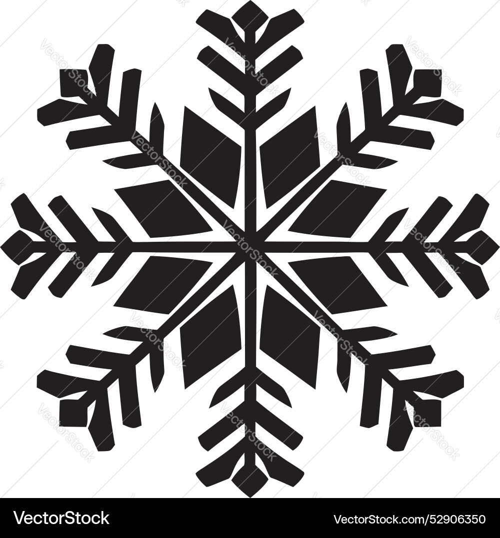 Frost in monochrome iconic snowflake art elegance Vector Image