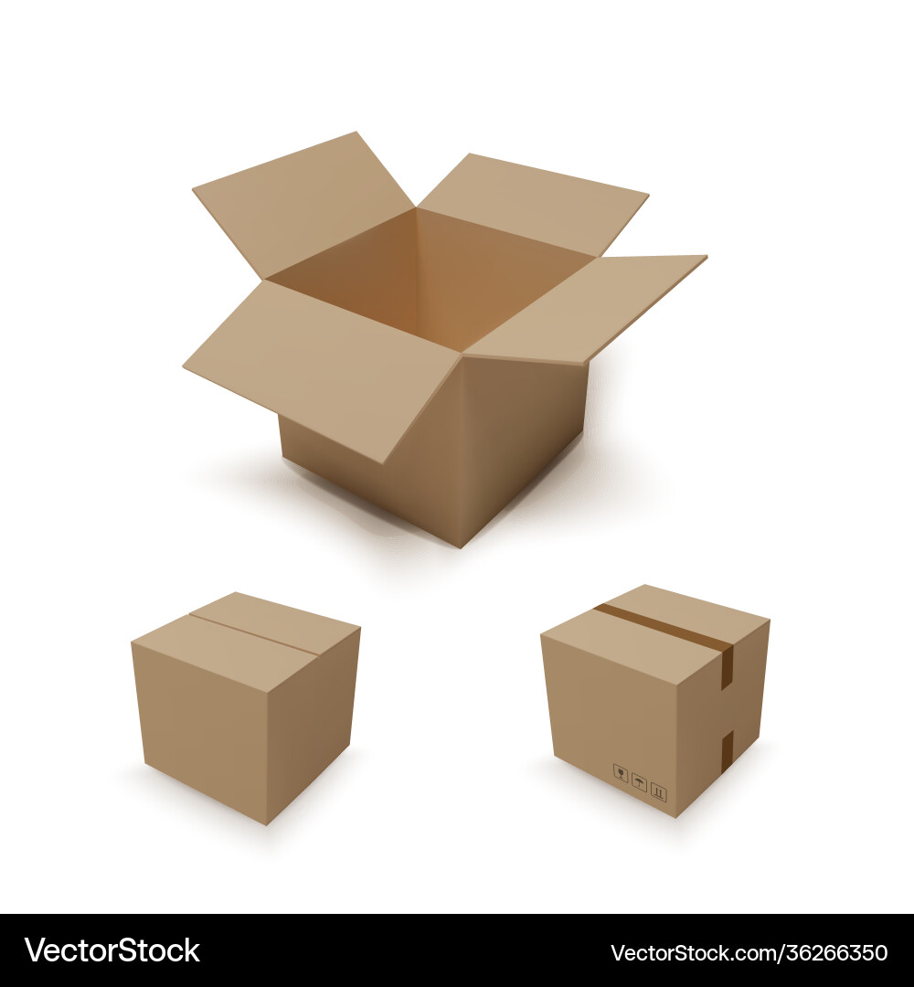 Open isometric box and closed parcel realistic Vector Image