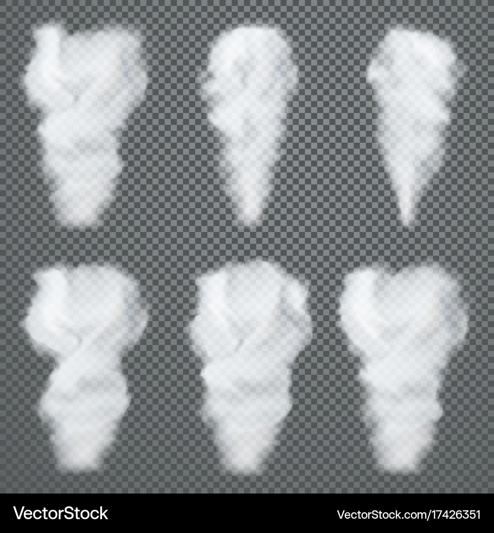 Transparent white smoke set on dark background Vector Image