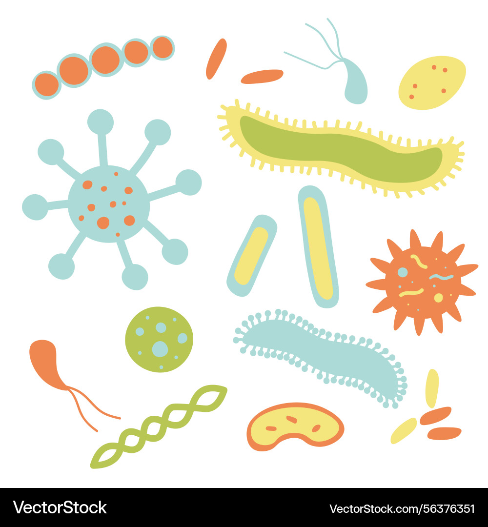 With bacteria viruses microbes Royalty Free Vector Image