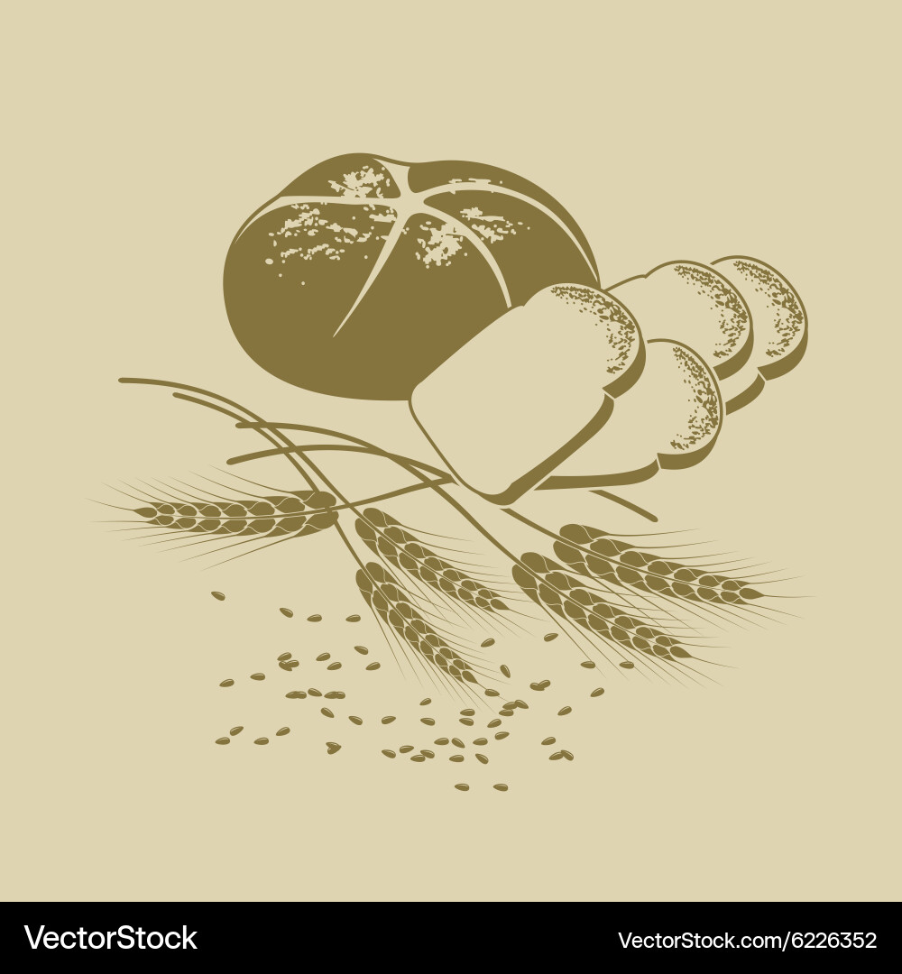 Rye bread toast and ears of wheat Royalty Free Vector Image