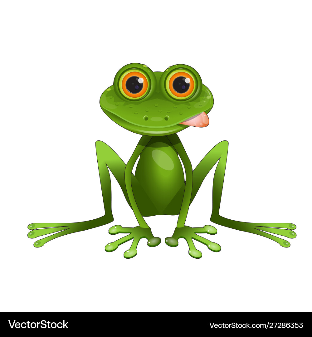 Stock sitting frog Royalty Free Vector Image - VectorStock