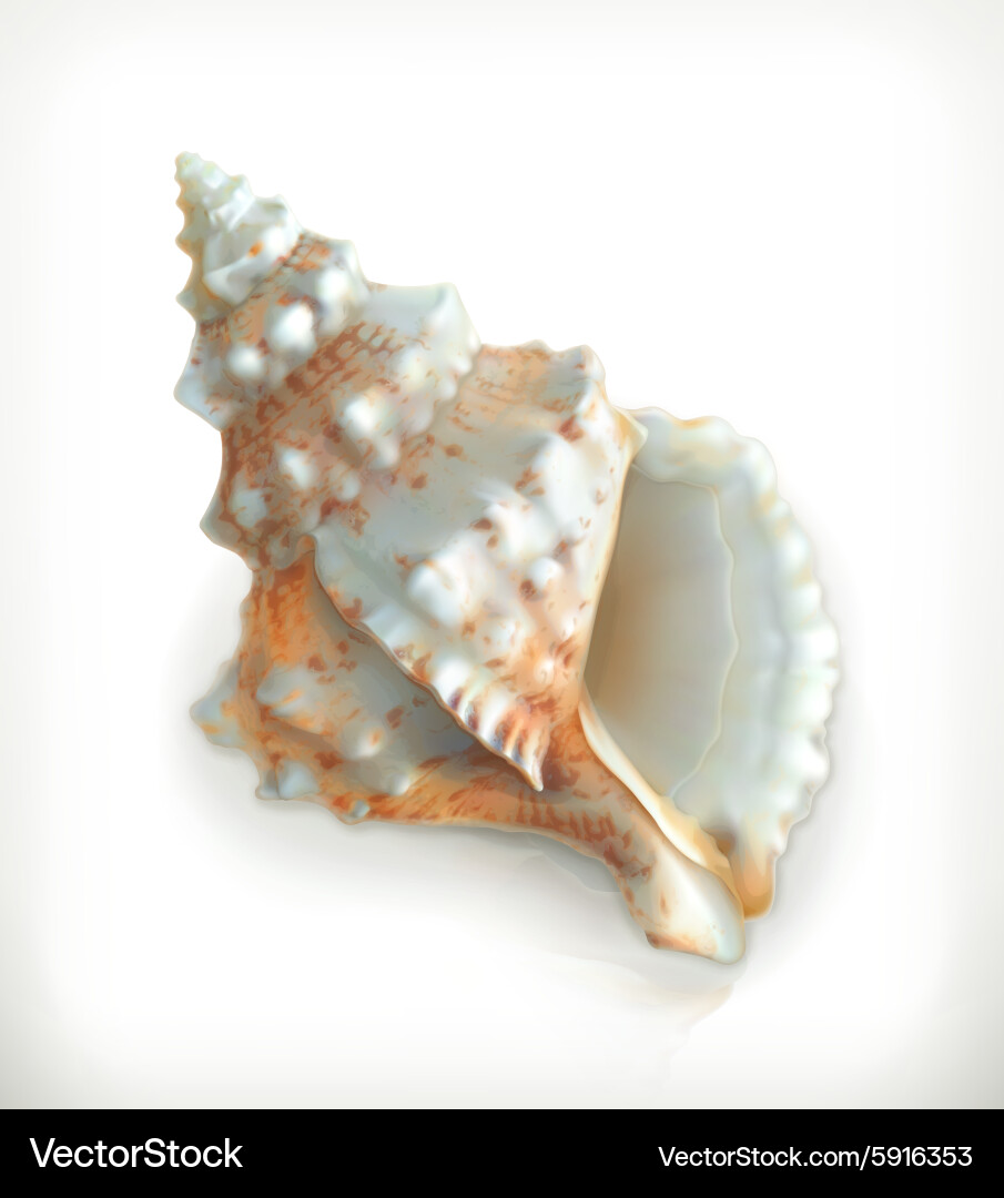 Tropical shell icon Royalty Free Vector Image - VectorStock