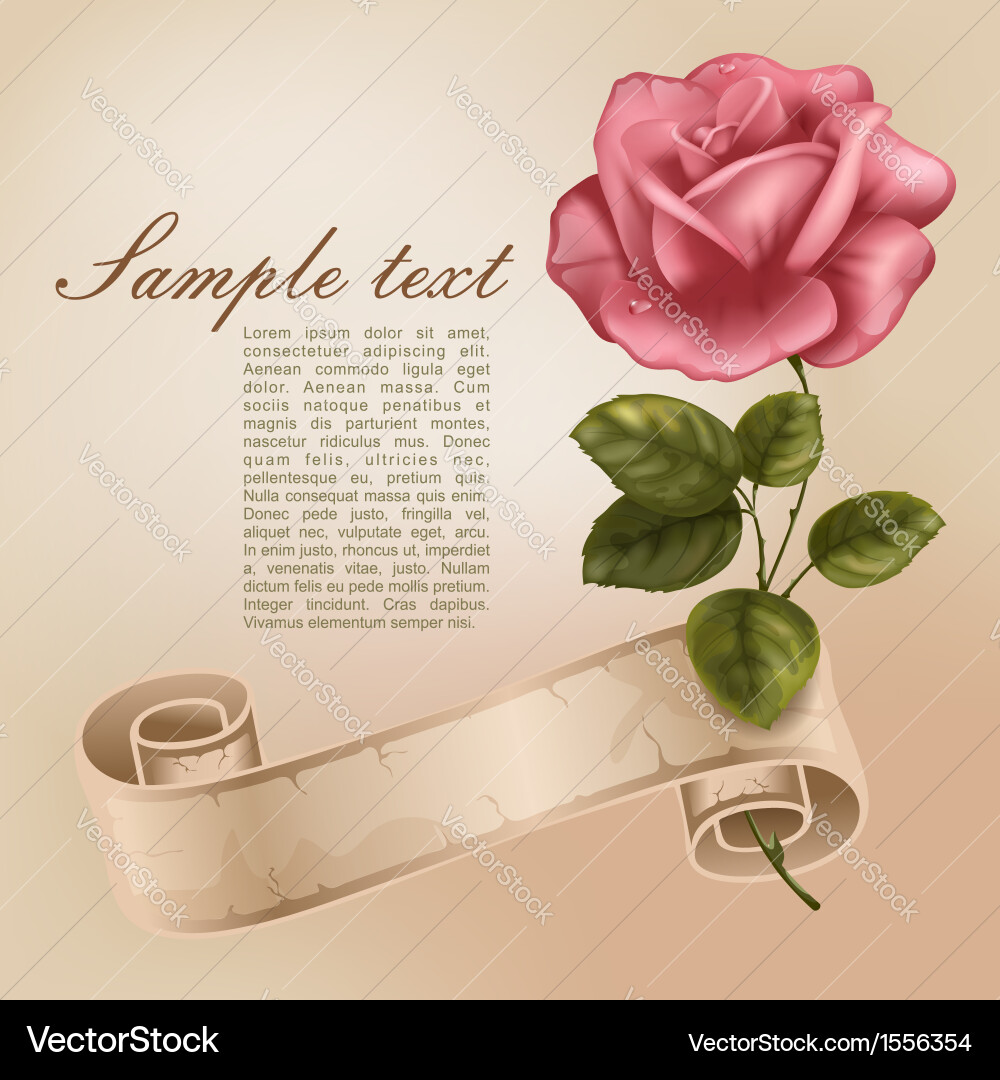 Vintage Rose Greeting Card Royalty Free Vector Image