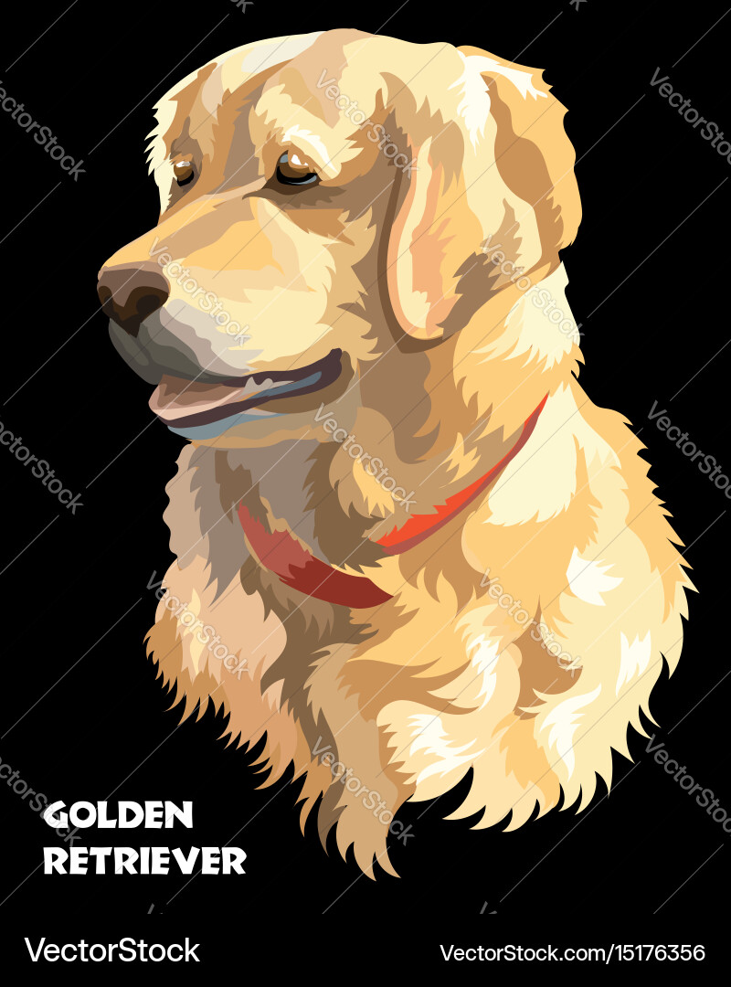 Colorful golden retriever Royalty Free Vector Image
