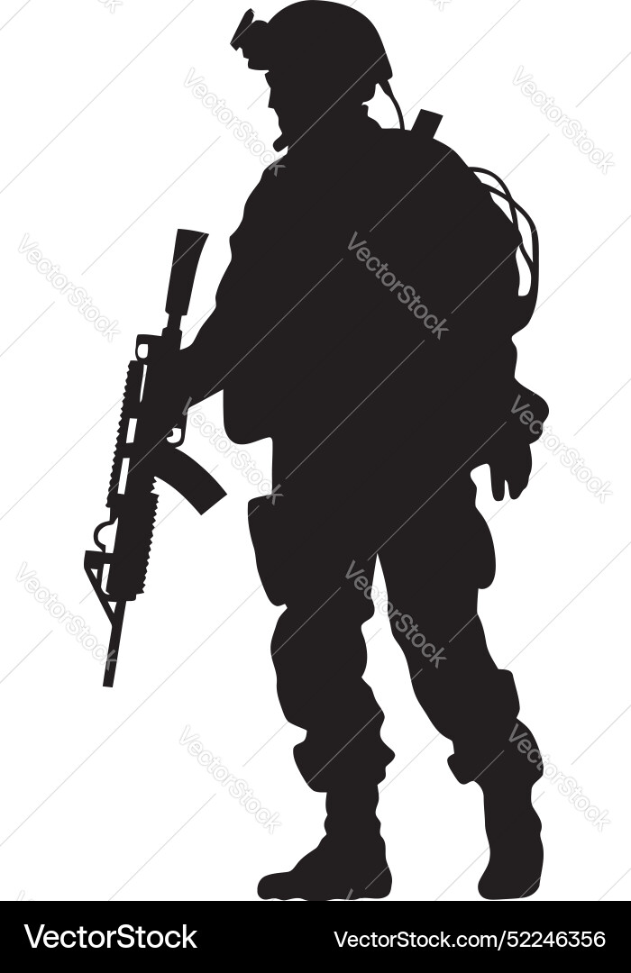 Precision defender logo a military professional Vector Image