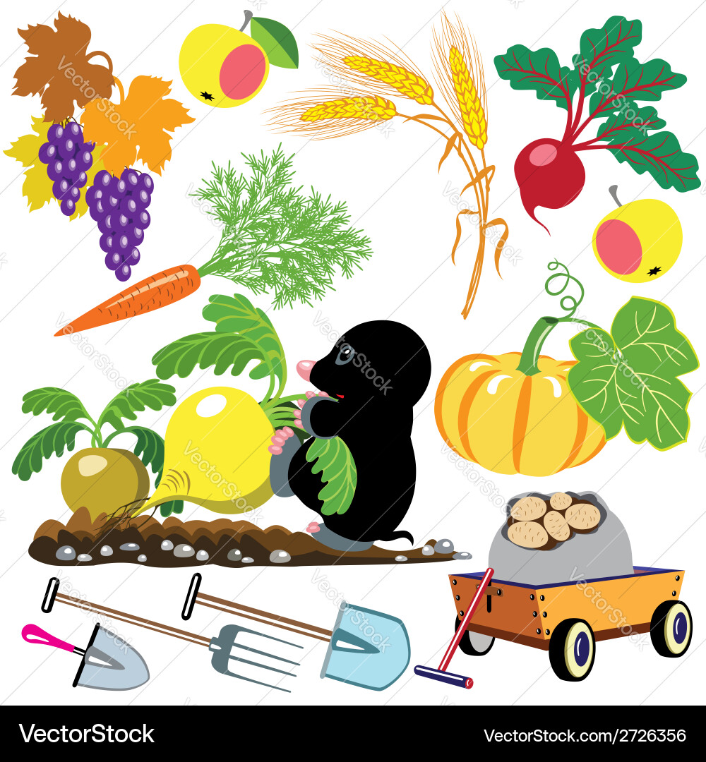 Set autumnal harvest Royalty Free Vector Image