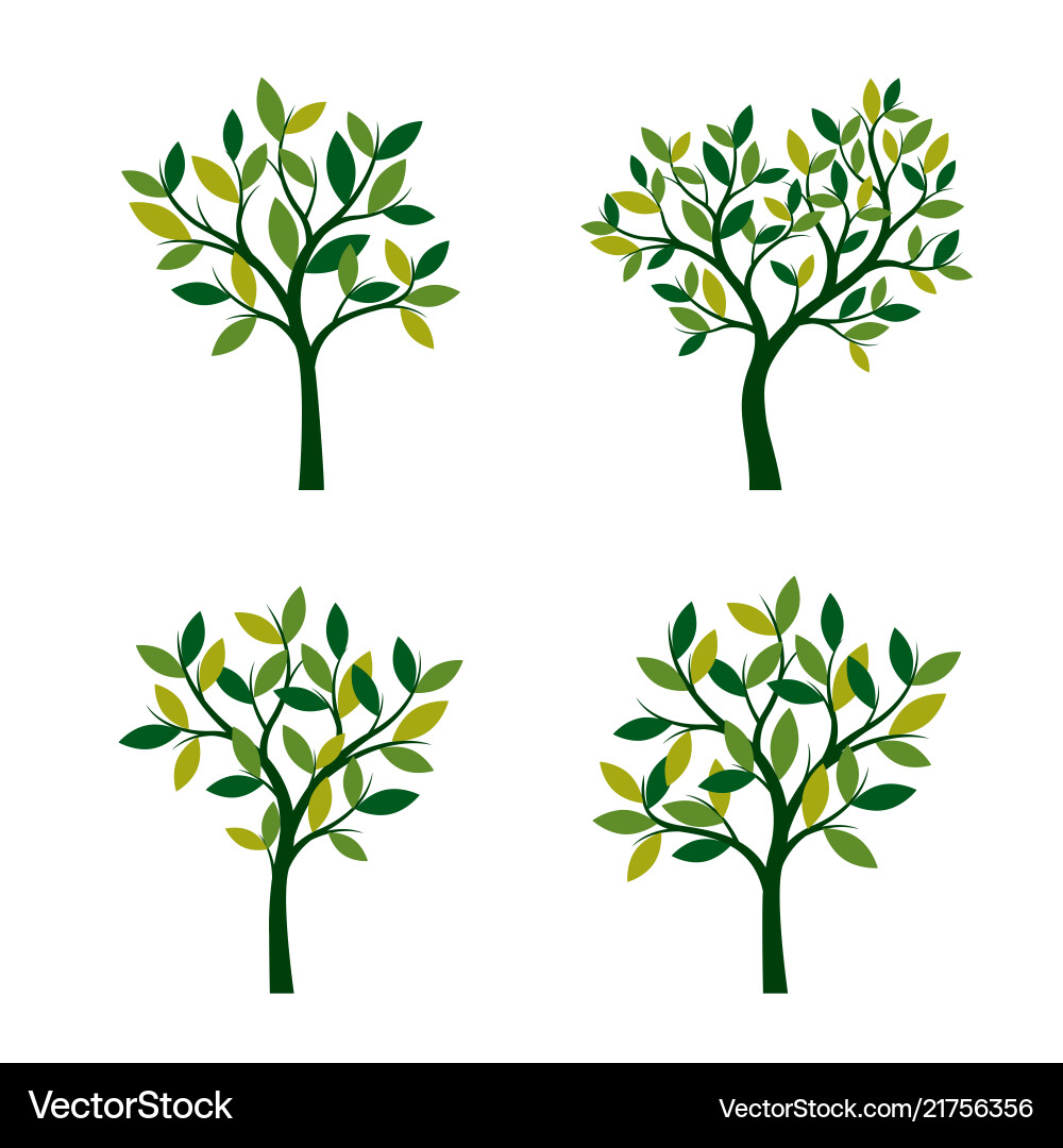 Set of green spring trees Royalty Free Vector Image