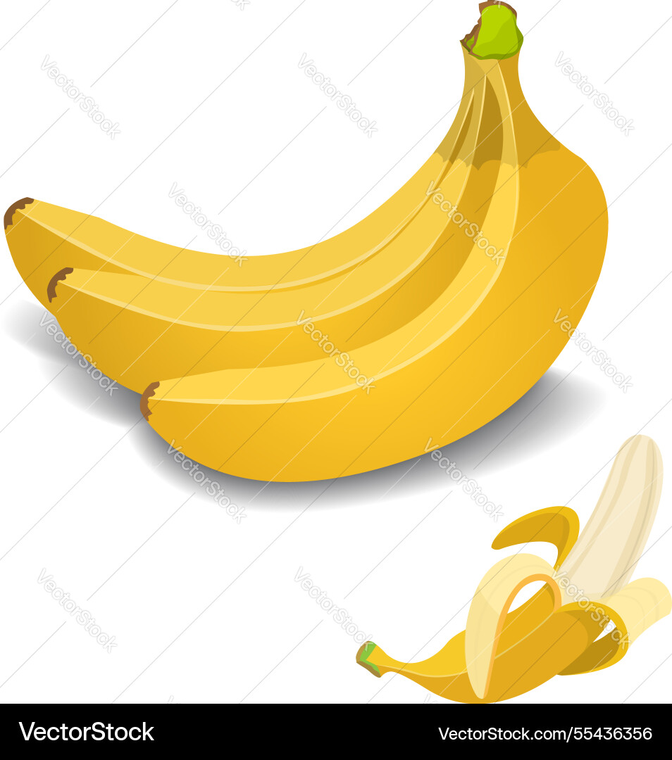 Set of yellow bananas single banana bunch Vector Image
