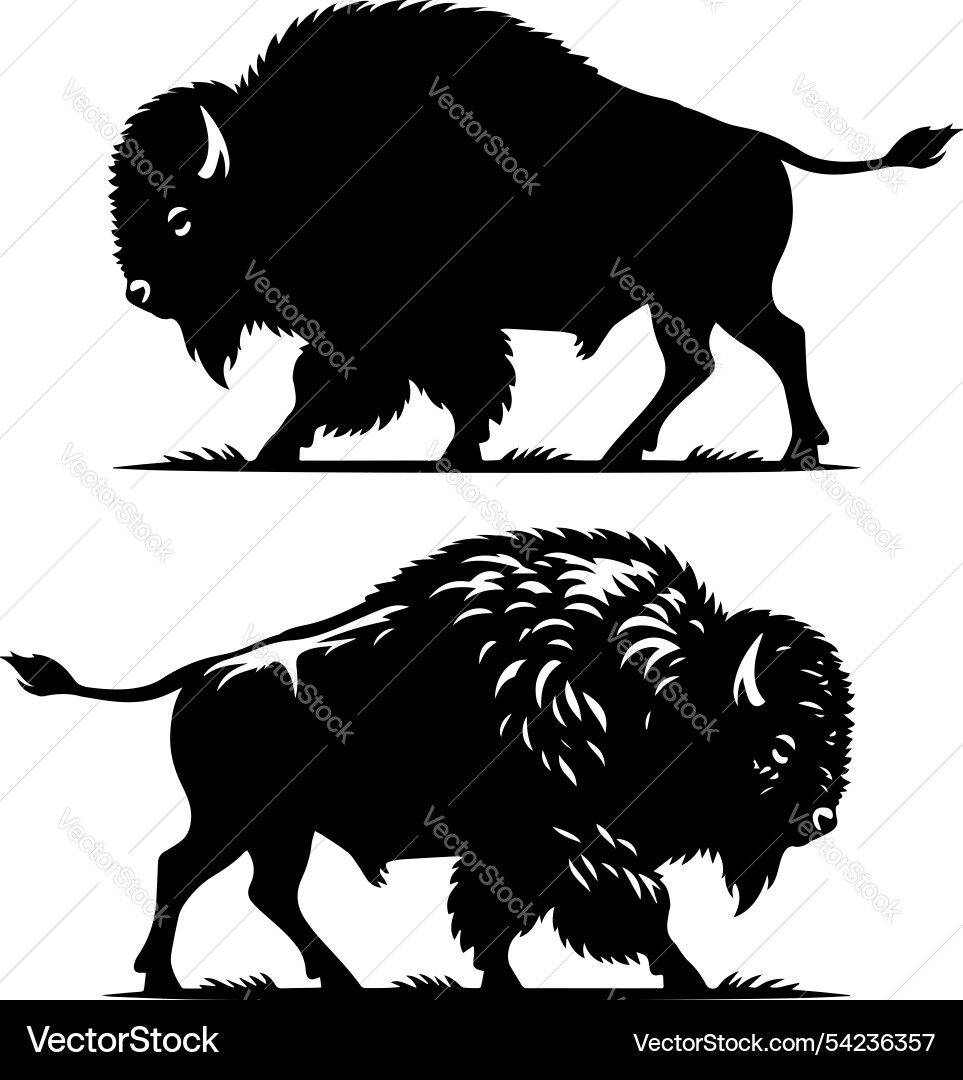 Bison silhouette artwork Royalty Free Vector Image