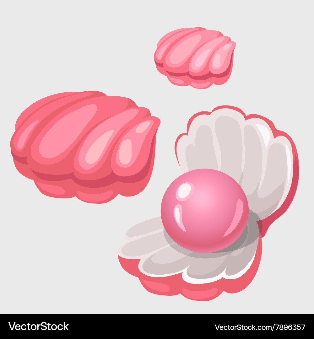Open and closed pink shell box with pearl Vector Image