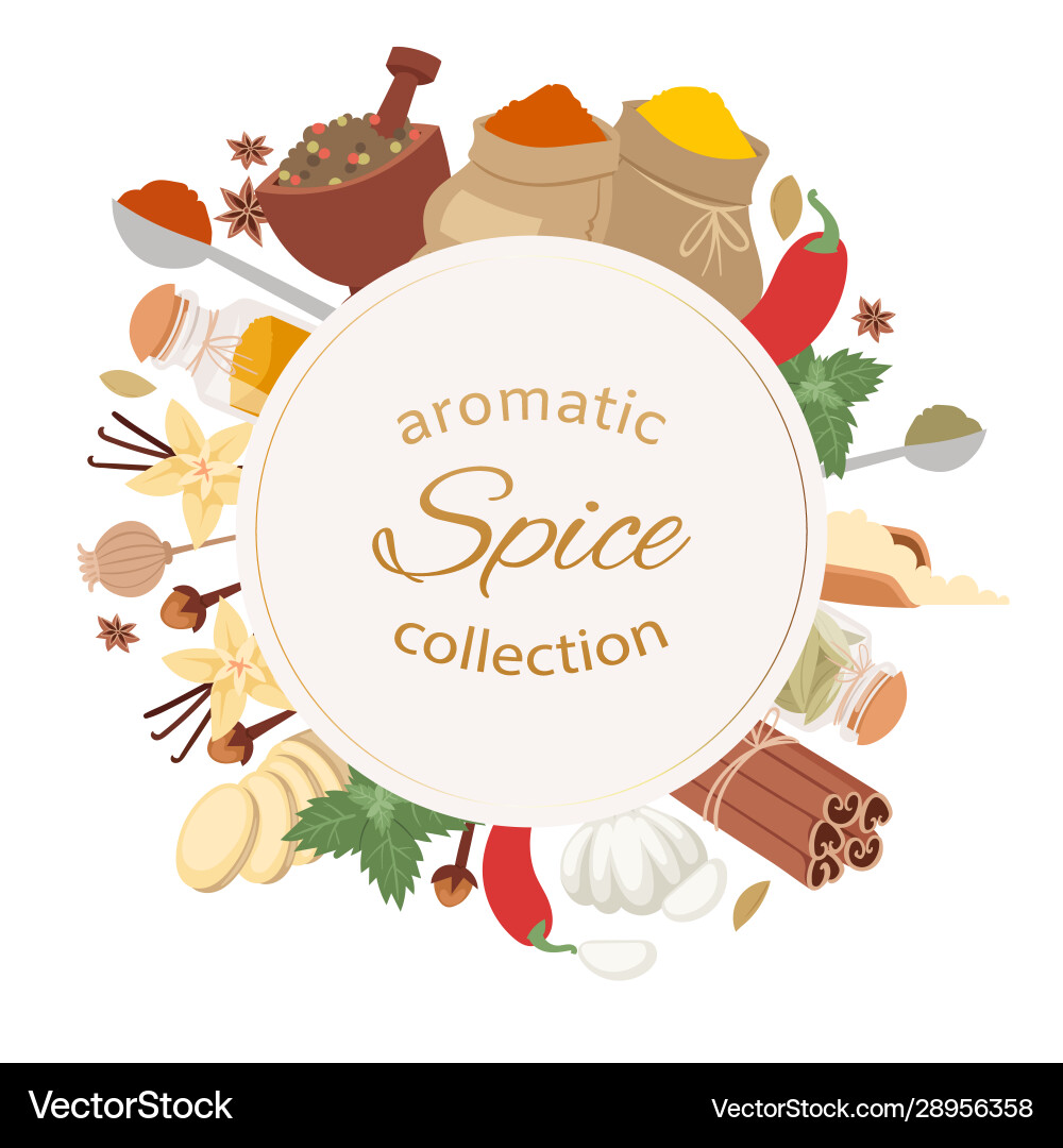 Aromatic Spice Collection - Herbs & Spices Vector Image