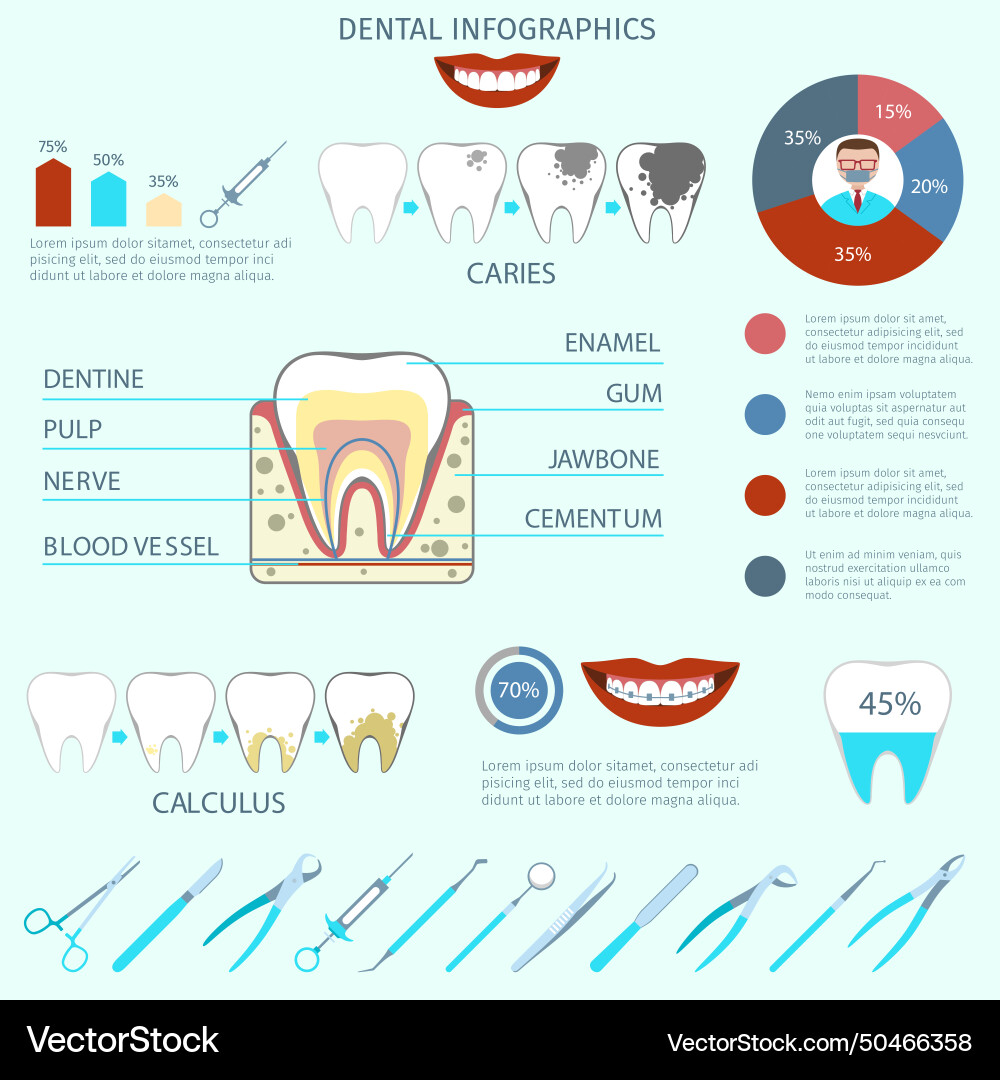 Dental infographics set Royalty Free Vector Image