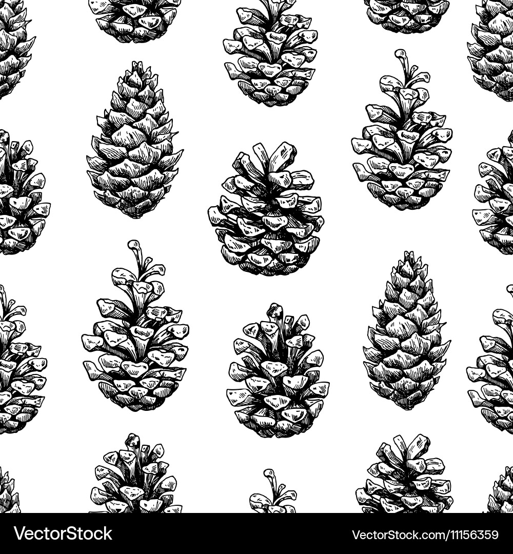 Pine Cone Seamless Pattern - Winter Royalty Free Vector