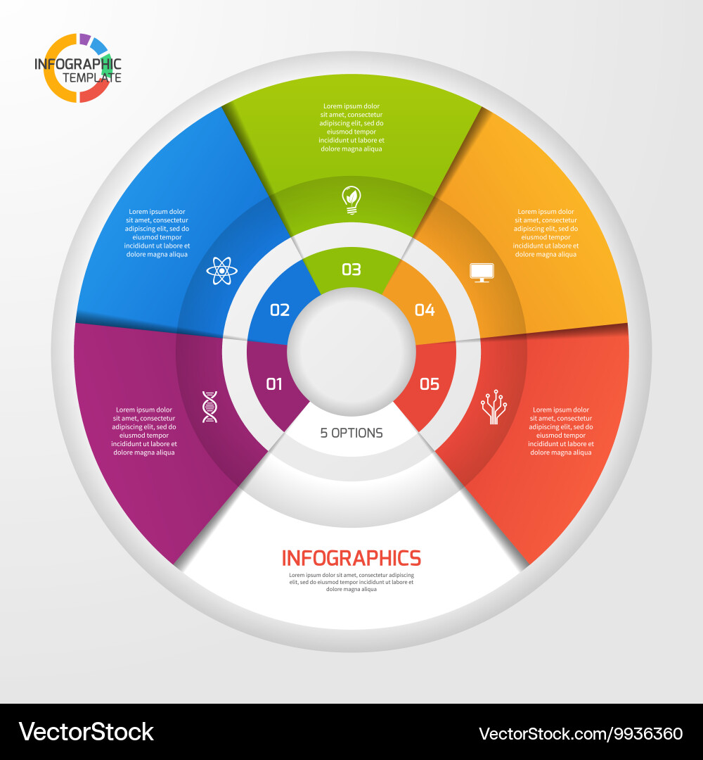Circle infographic template 5 options Royalty Free Vector