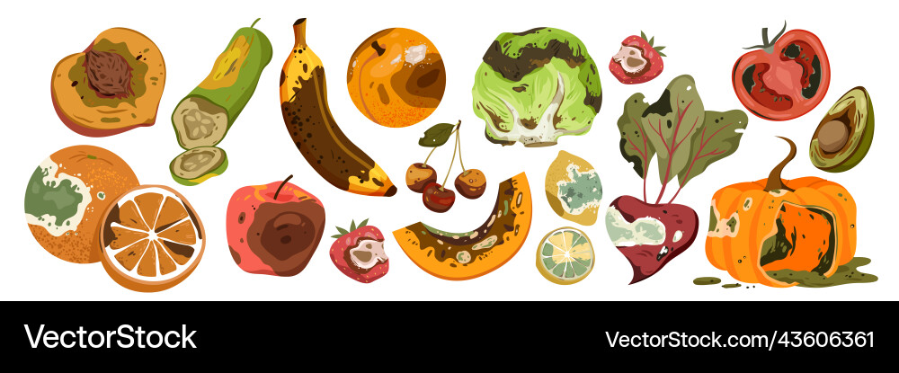 Ugly Rotten Fruit & Vegetable Waste Royalty Free Vector