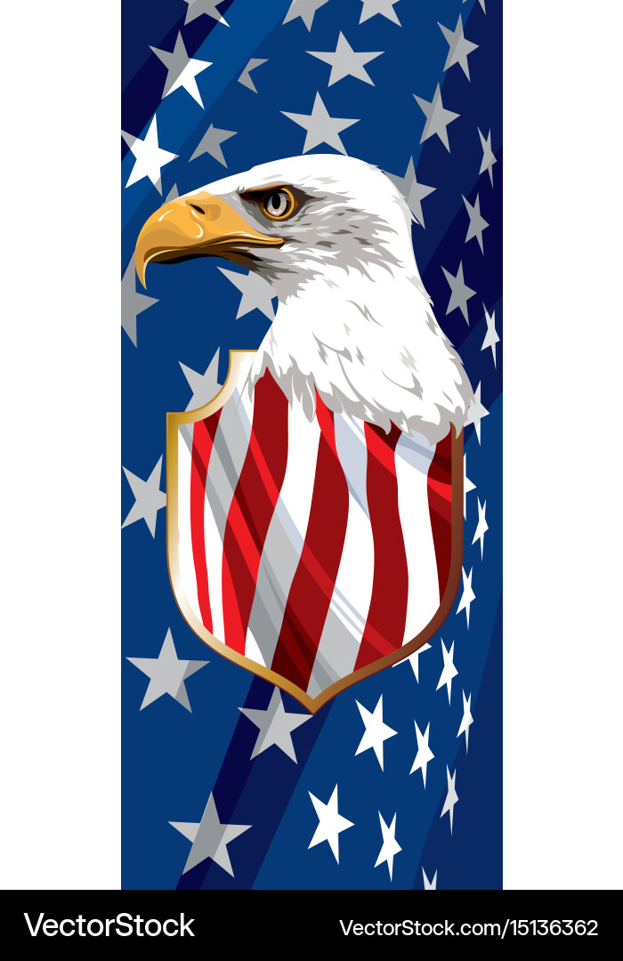 American Flag Symbol Royalty Free Vector Image