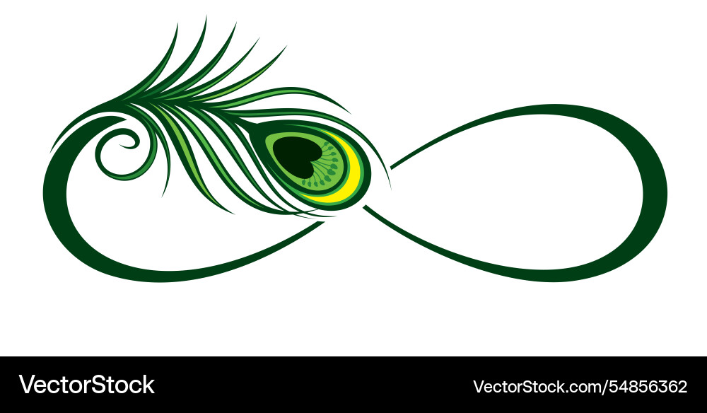 Peacock feather infinity Royalty Free Vector Image