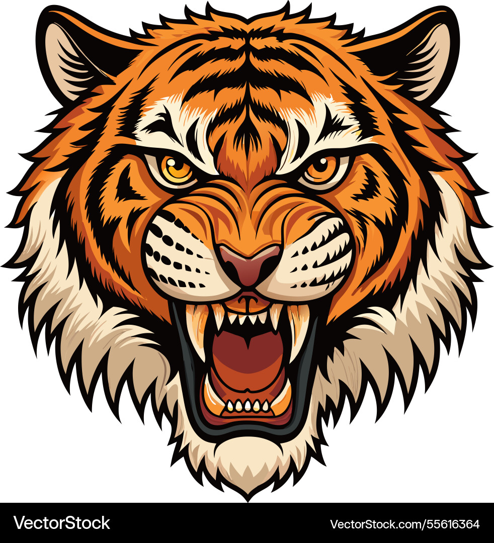 Angry Tiger Face Royalty Free Vector Image - VectorStock