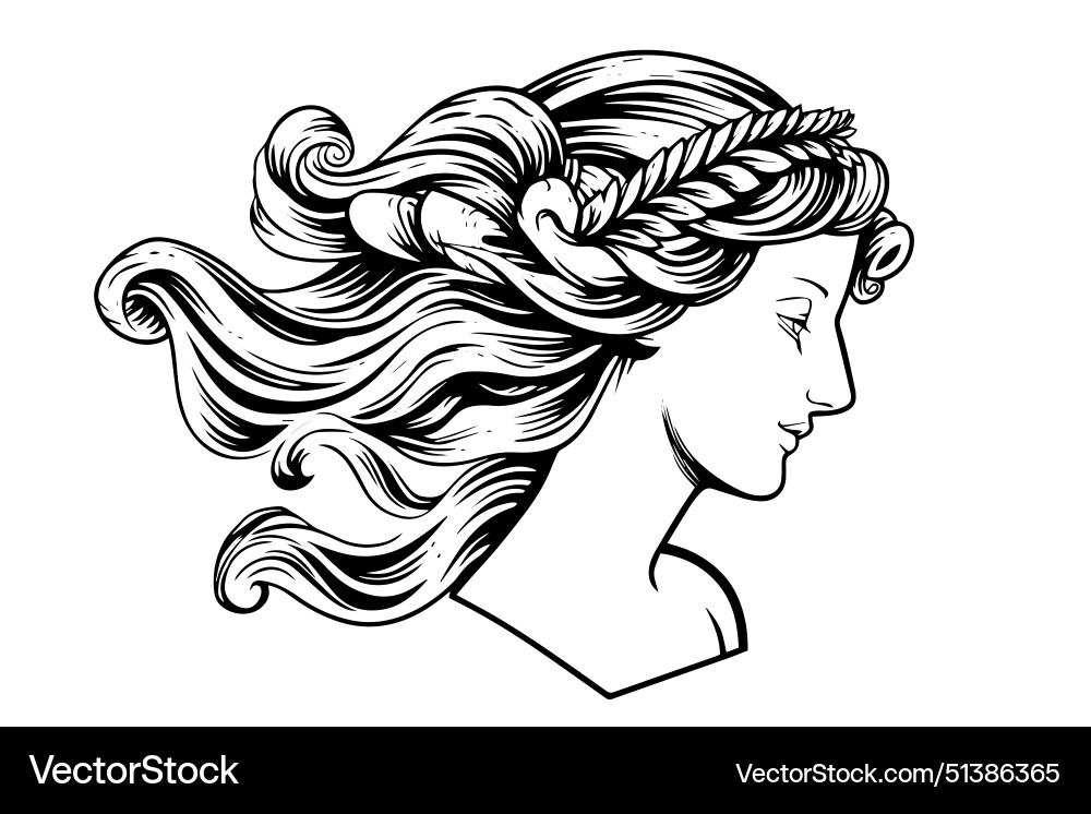 Aphrodite head hand drawn ink sketch engraved Vector Image