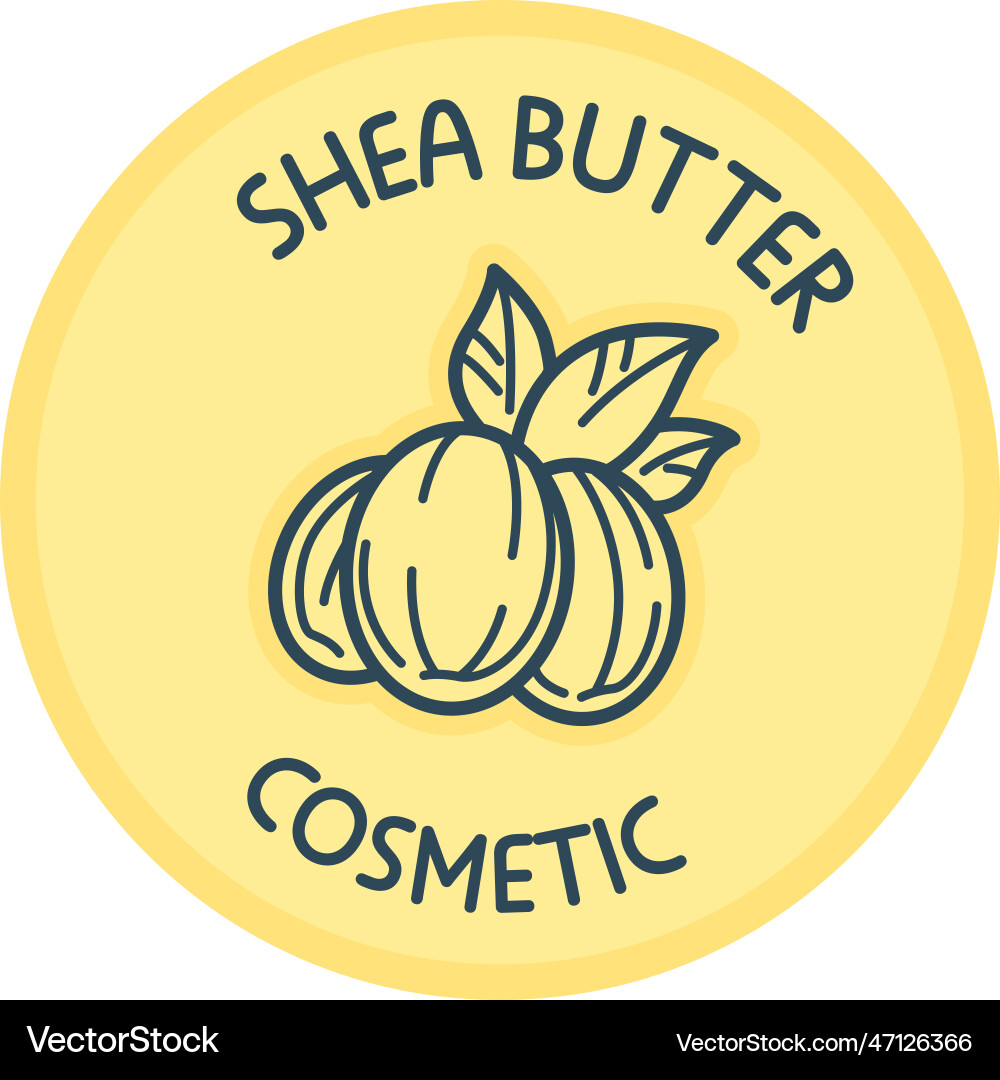 Cosmetics organic ingredient shea butter Vector Image