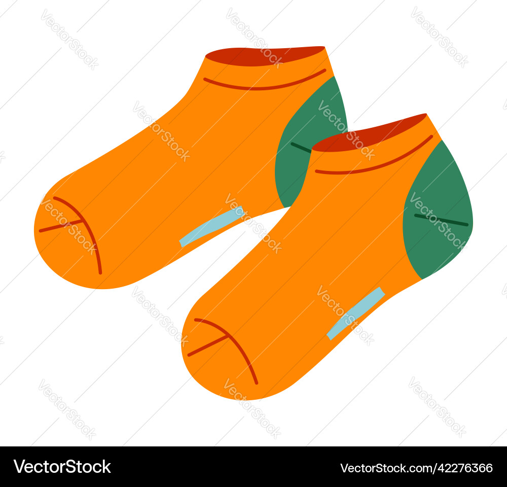 Pair of sport socks - modern flat design single Vector Image