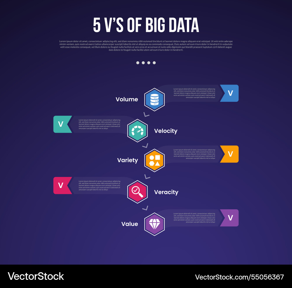 5vs big data infographic template with vertical Vector Image