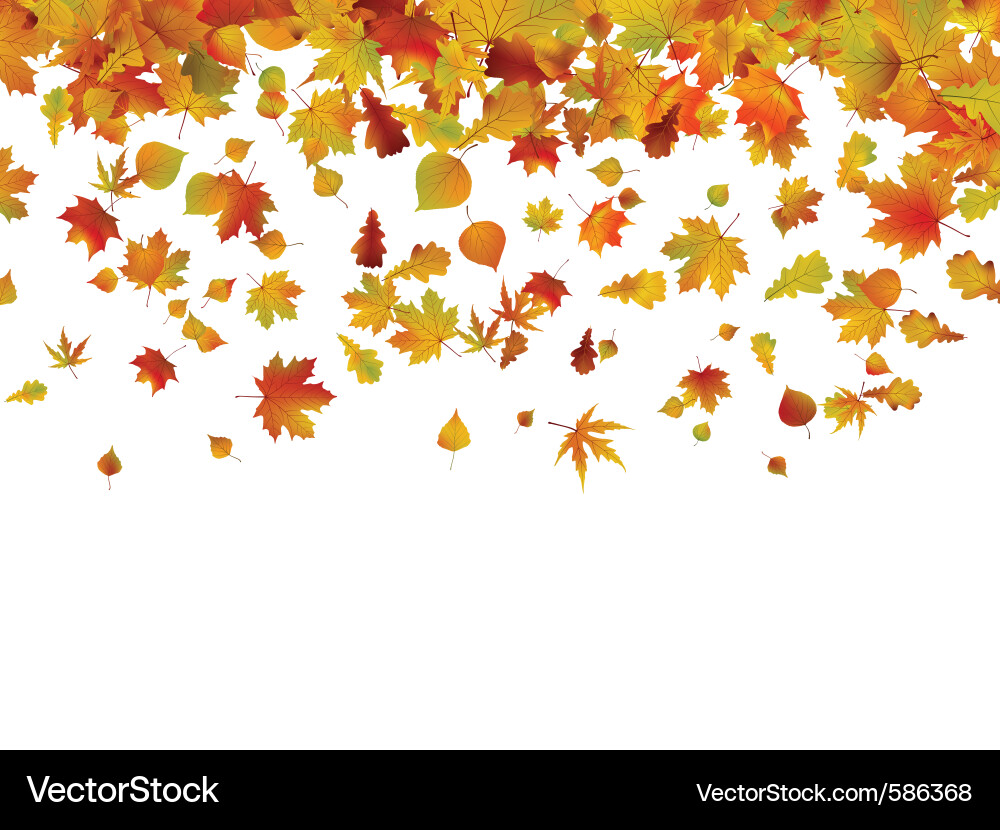 Autumn leaves background Royalty Free Vector Image