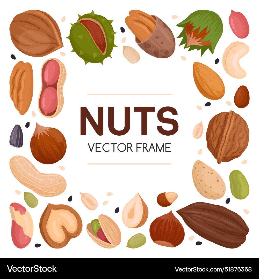 Nuts snacks frame cartoon design hazelnut Vector Image