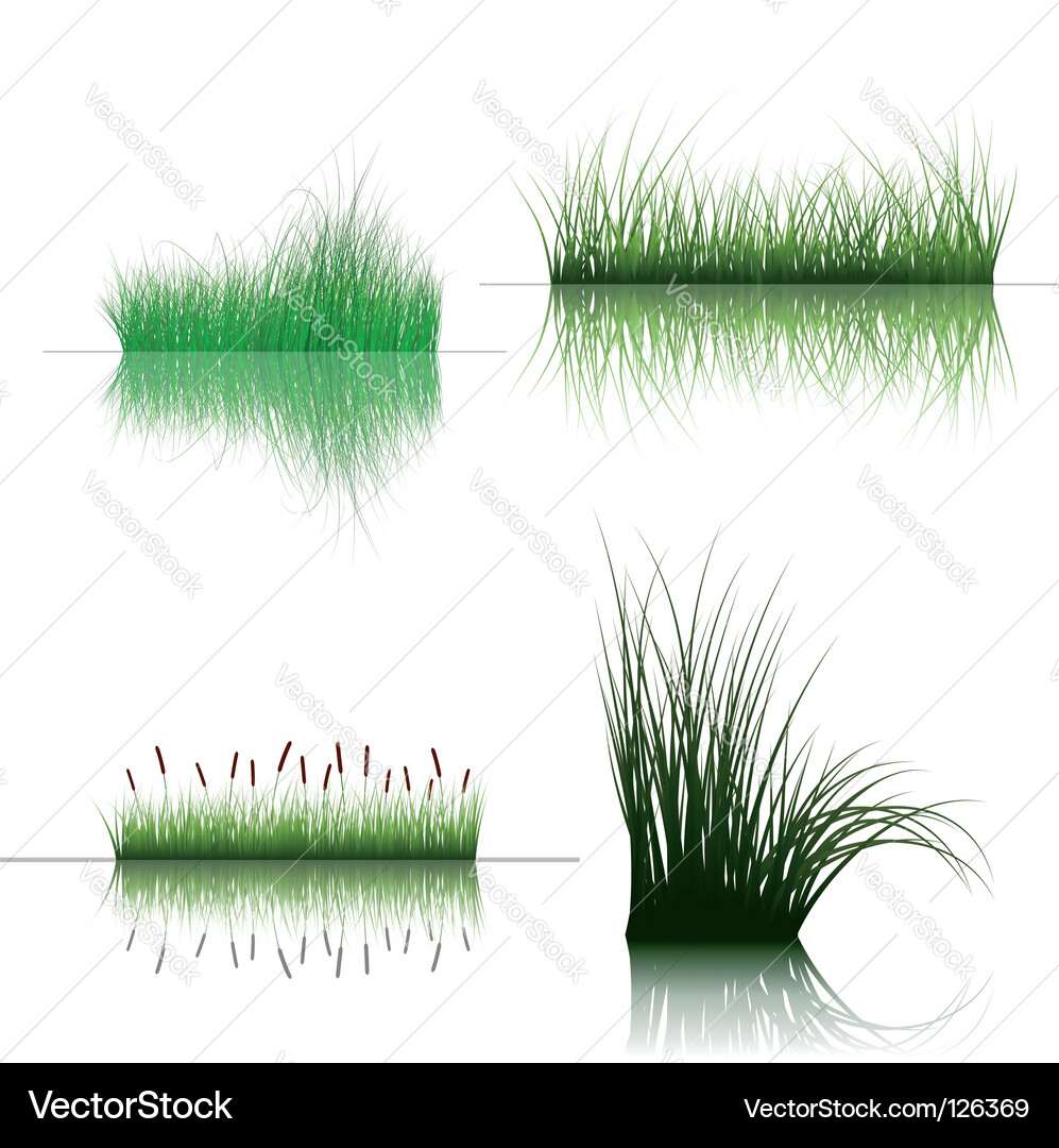 Grass on water Royalty Free Vector Image - VectorStock