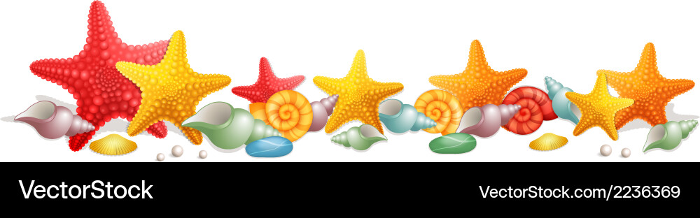 Sea stars and shells Royalty Free Vector Image